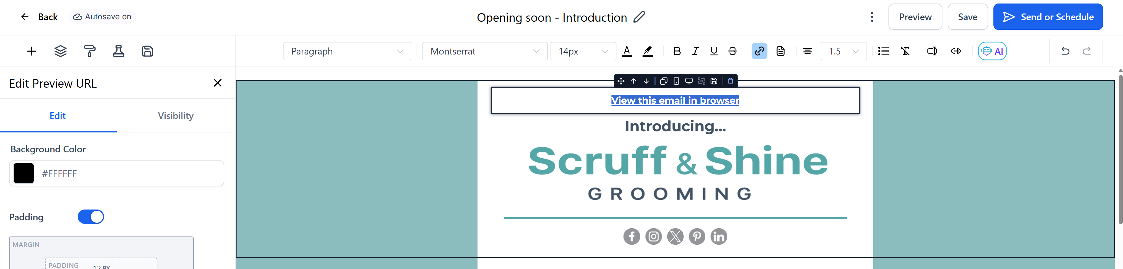 Using the Design Editor – Preview URL Element – GenieAI